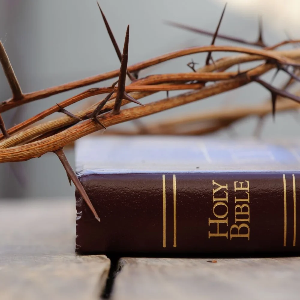 Services | Explore Our Community Services — Anglican Parish of Caboolture