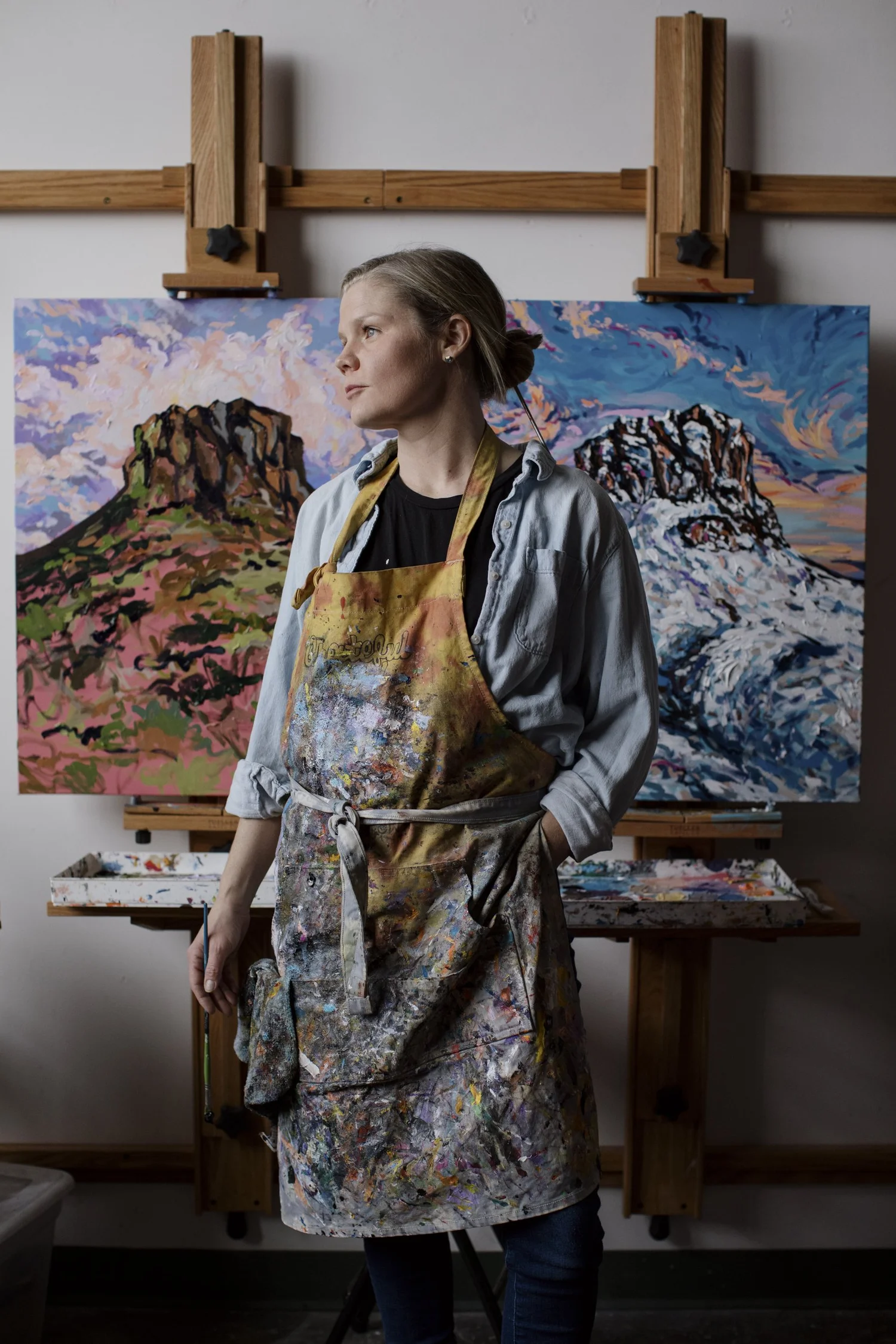 Emily Dwan Colorado Fine Artist