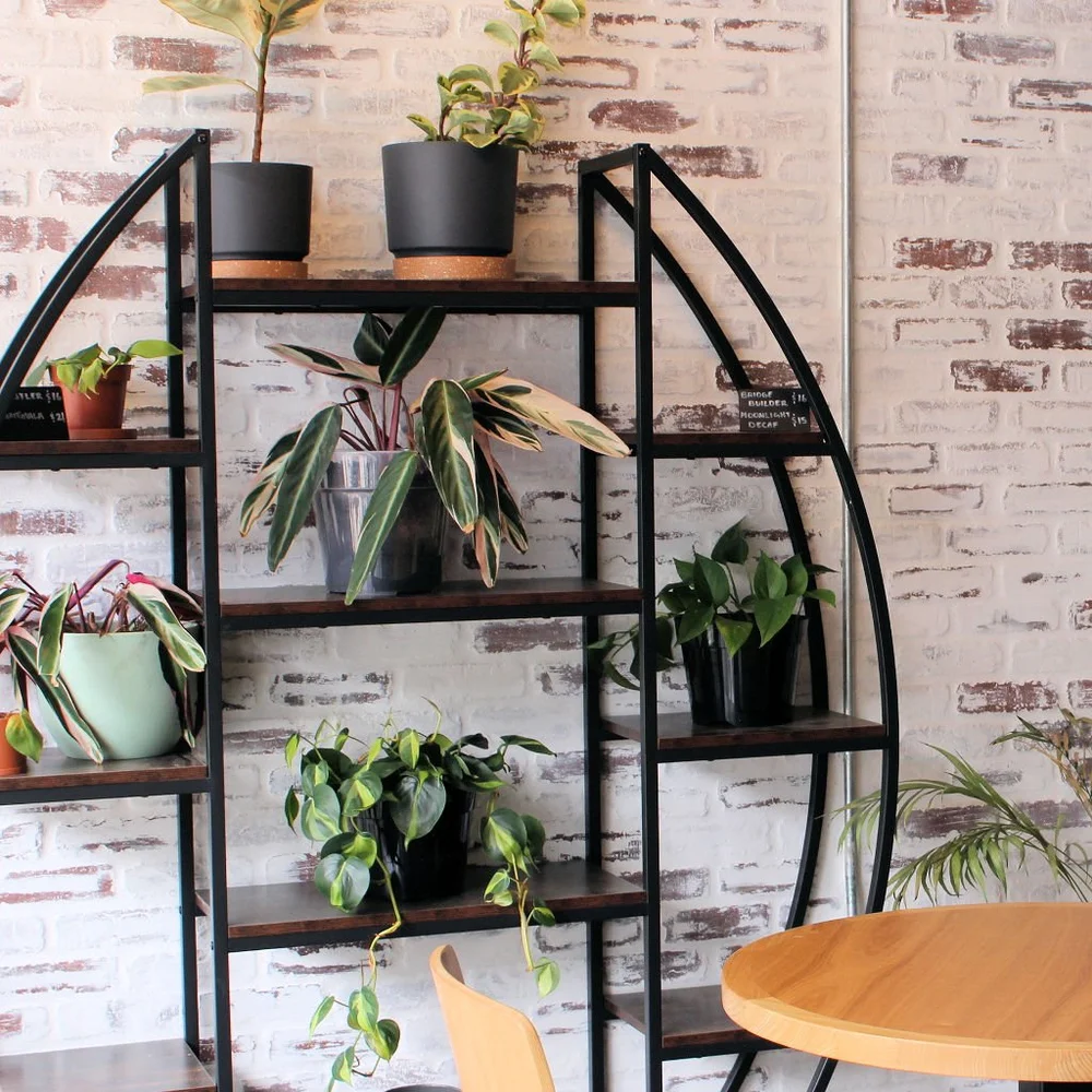 Bloom Coffee Co.