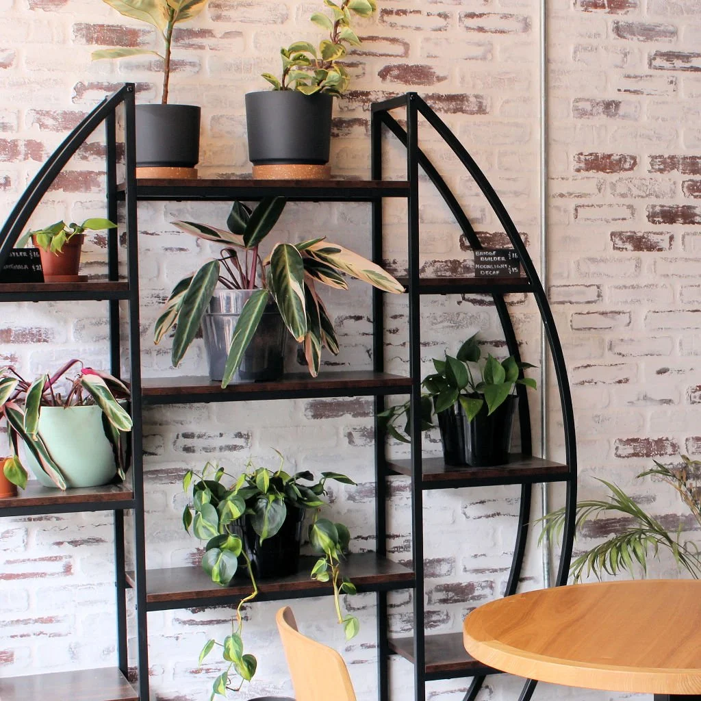 Bloom Coffee Co.