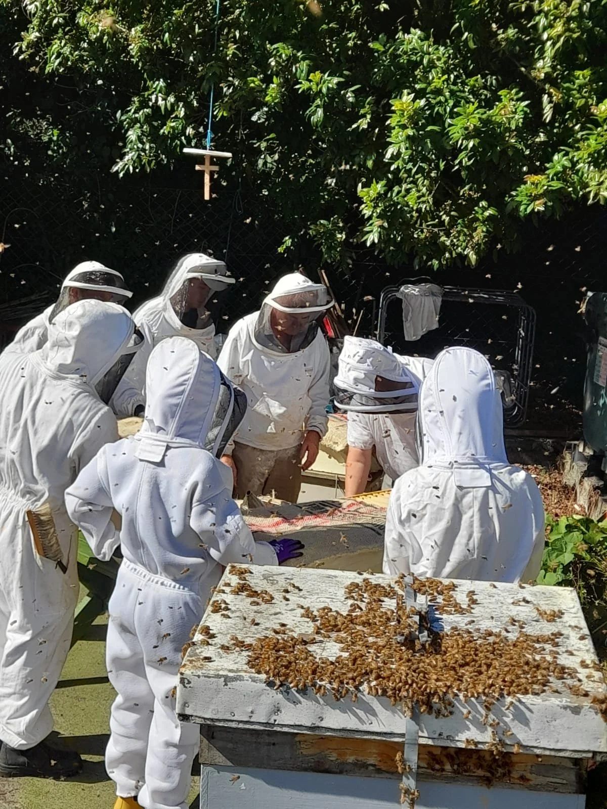 Auckland Beekeepers Club