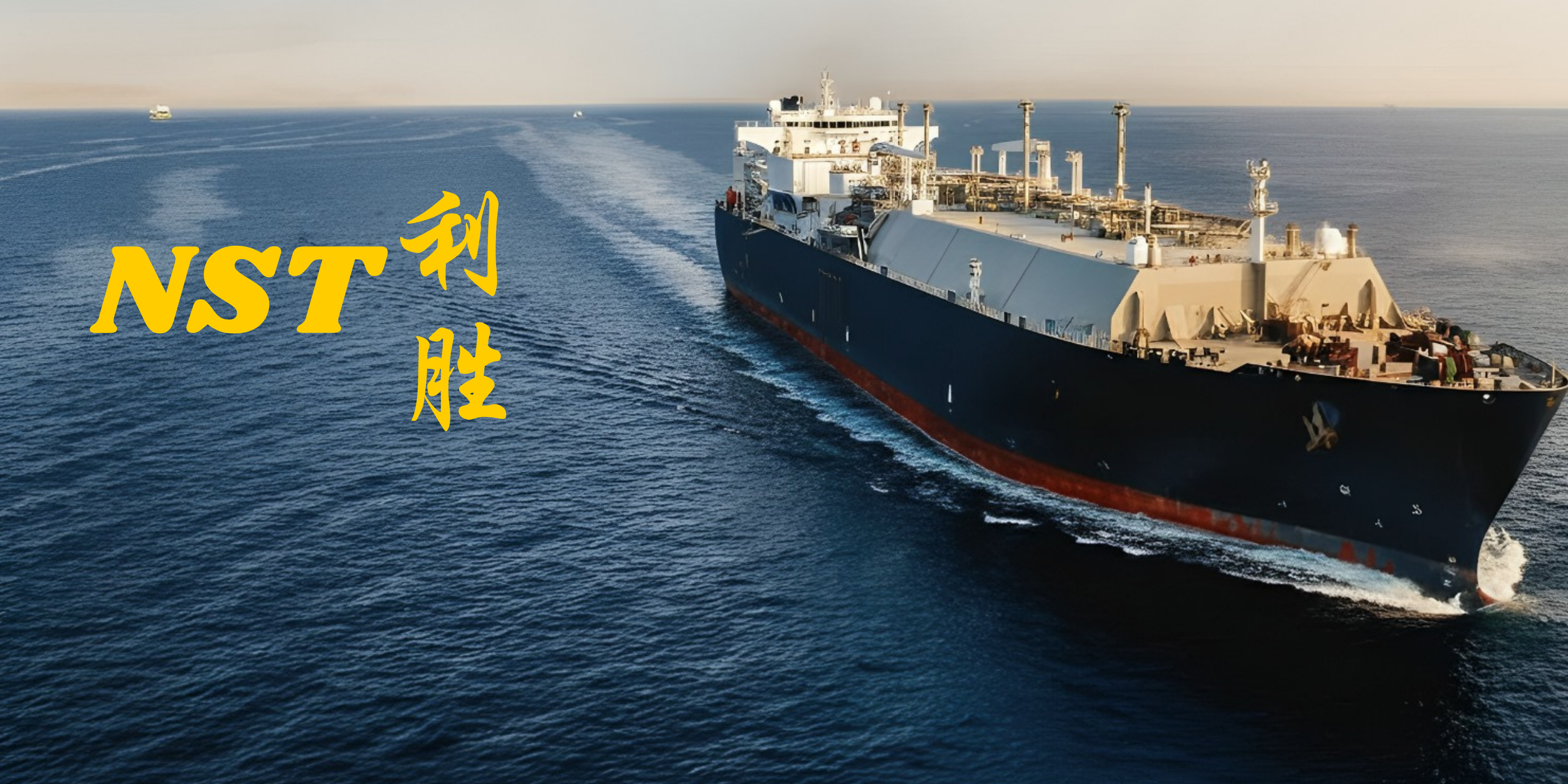 Nexus Sealand Trading Pte Ltd