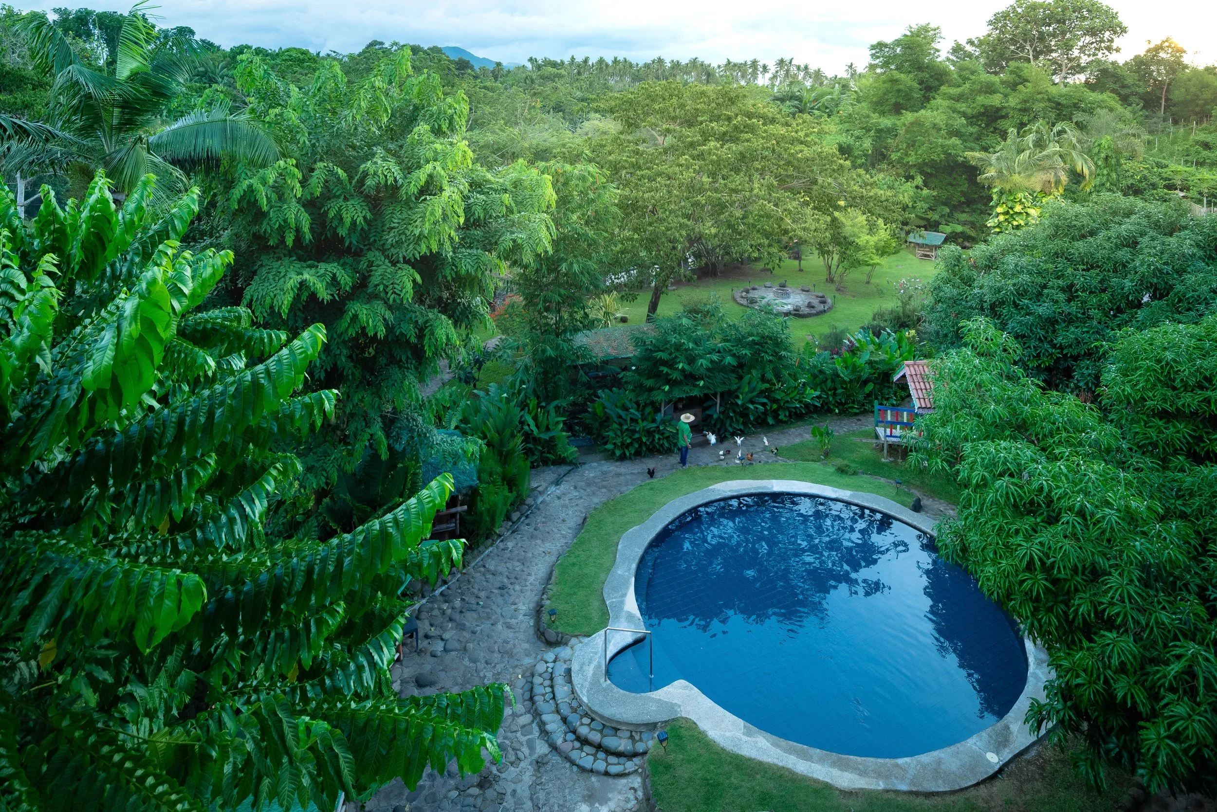 Amenities and Features — Good Food Farm Magdalena