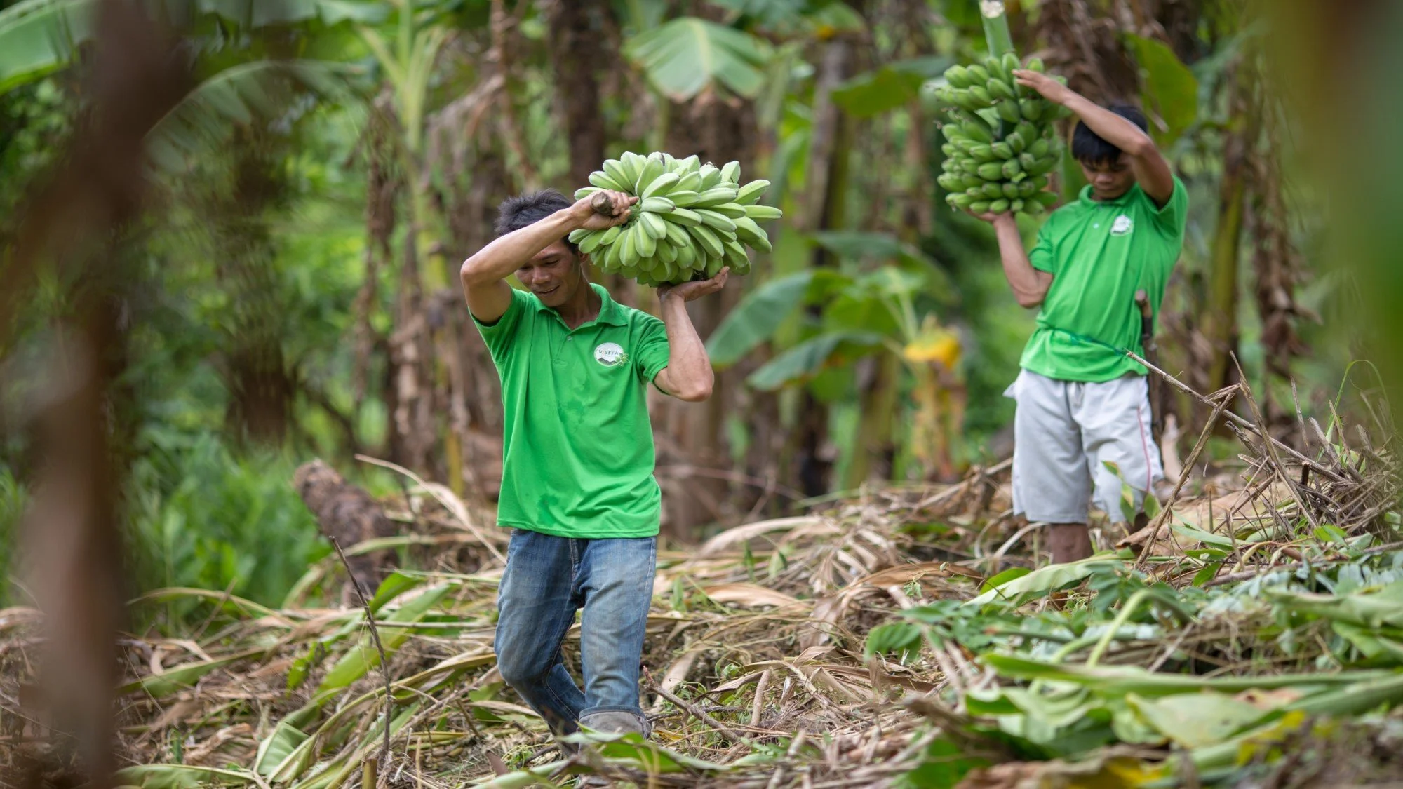 Team-building and Events in Laguna: Good Food Farm - Magdalena — Good ...