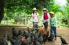 Good Food Farm Magdalena