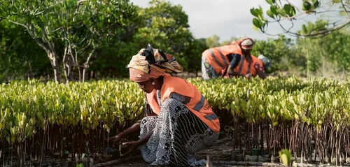 Design for Good | A Global Alliance