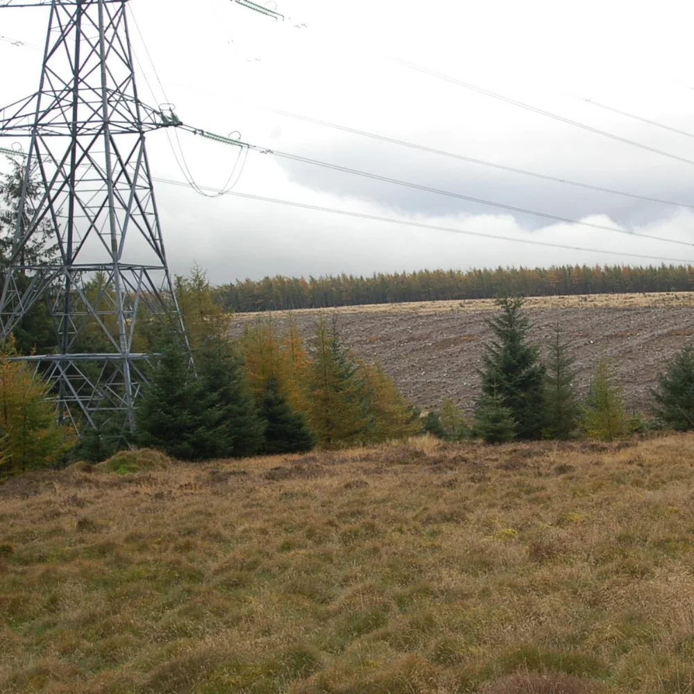 Fetteresso Substation EIA and LVIA for Planning Consent – Projects ...
