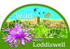 Loddiswell Community Website | Join the Community Today