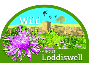 Loddiswell Community Website | Join the Community Today
