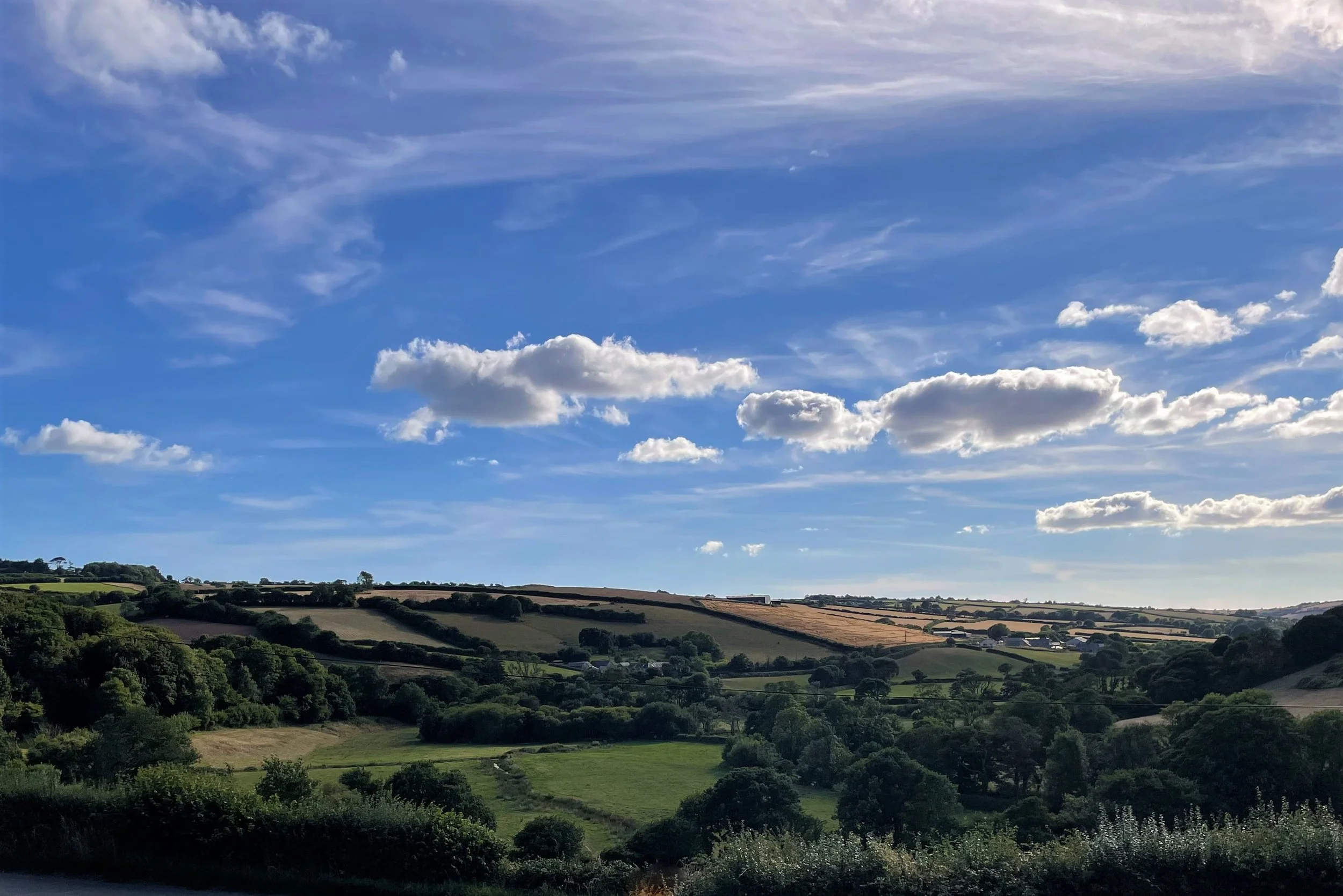 Loddiswell Community Website | Join the Community Today