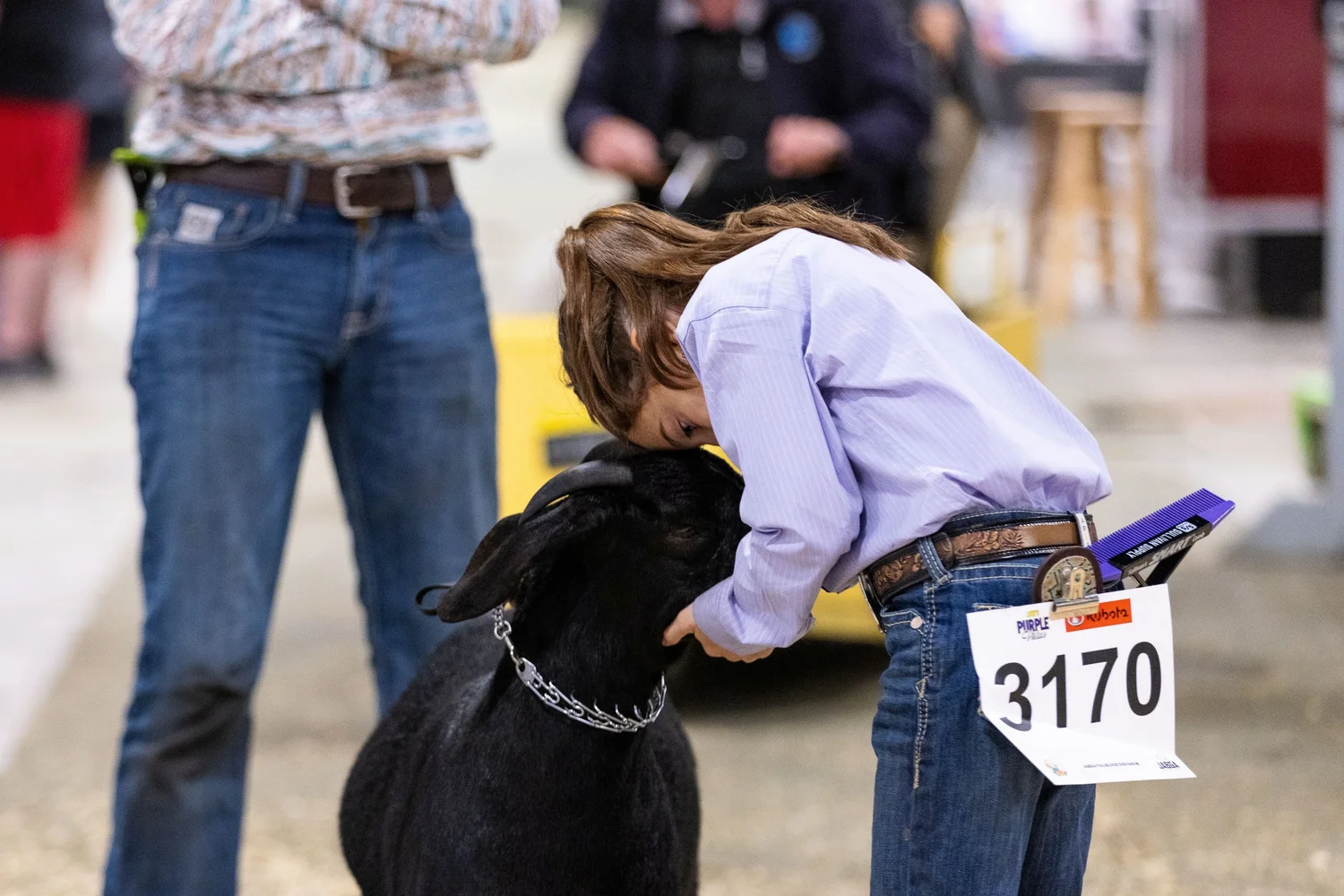 American Boer Goat Foundation | Support Boer Goat Growth Today
