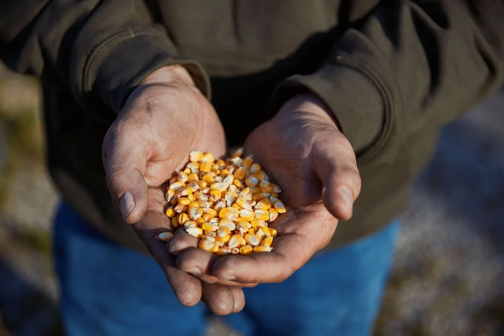 Mission & Values | Empower Rural Prosperity Today — Summit Carbon Solutions