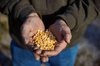 Mission & Values | Empower Rural Prosperity Today — Summit Carbon Solutions