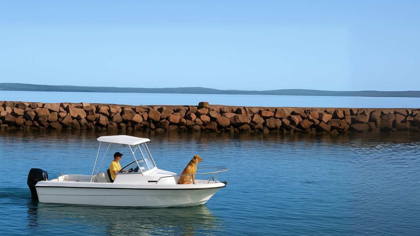 Nelson Bay Boat Hire & Watersports