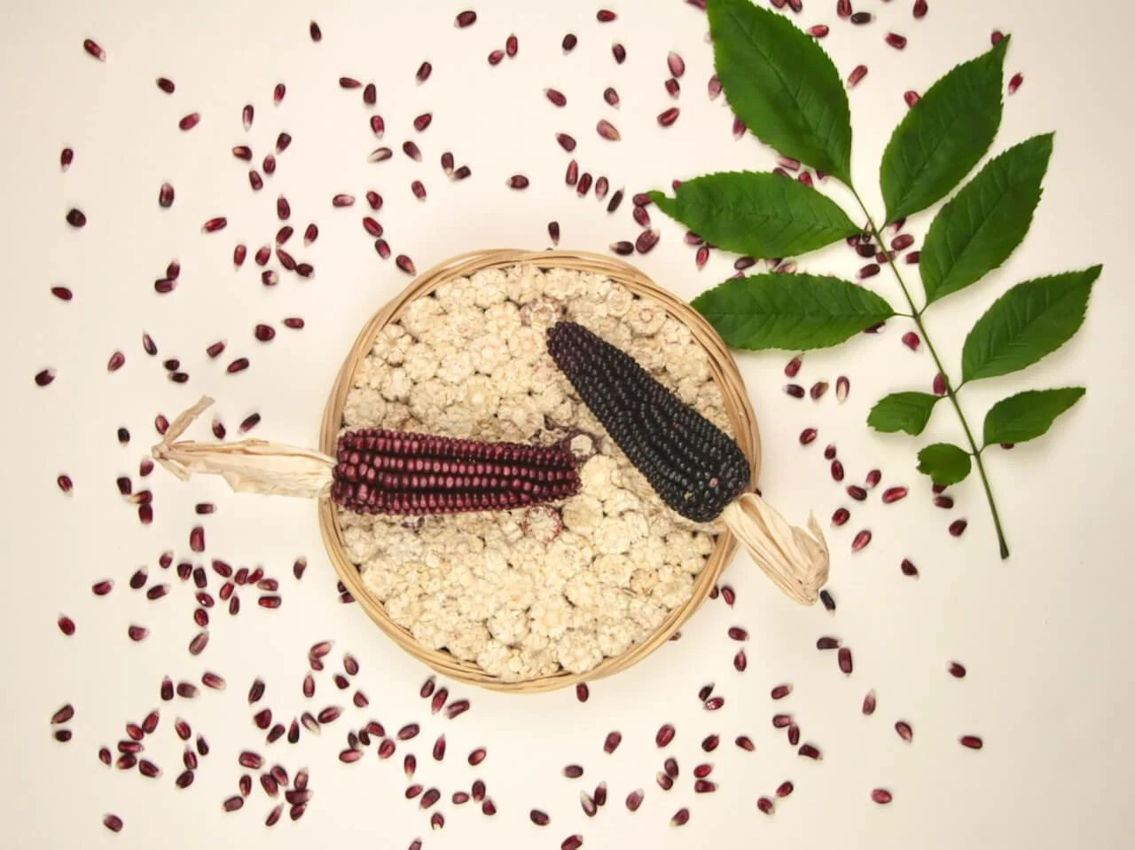 Olotera — Artefacto