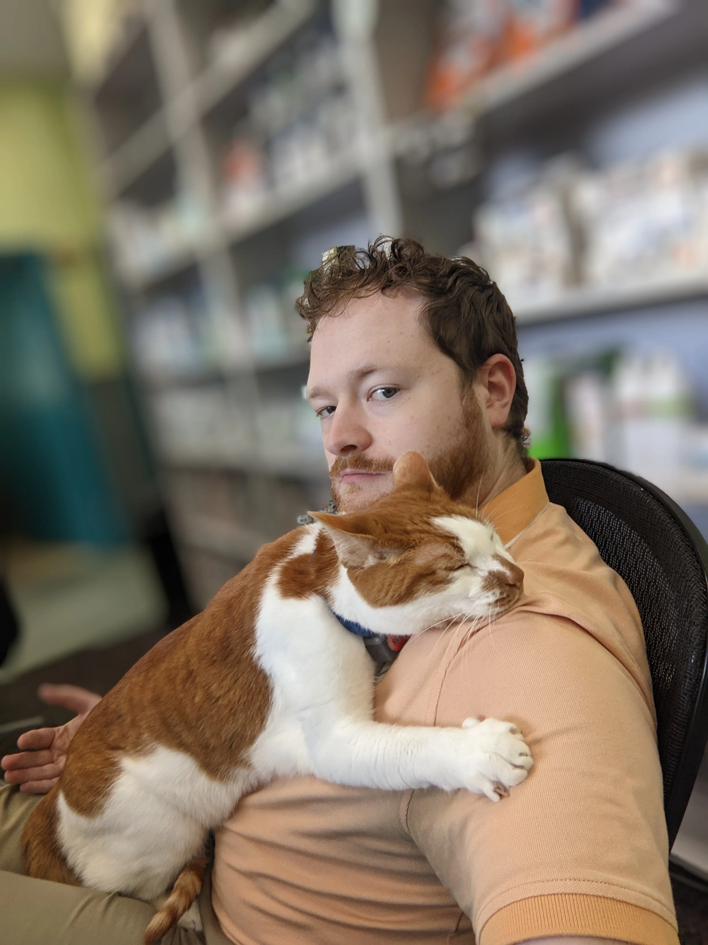 Lake Stevens Animal Hospital | Wellness & Urgent Care — BoosterPet ...