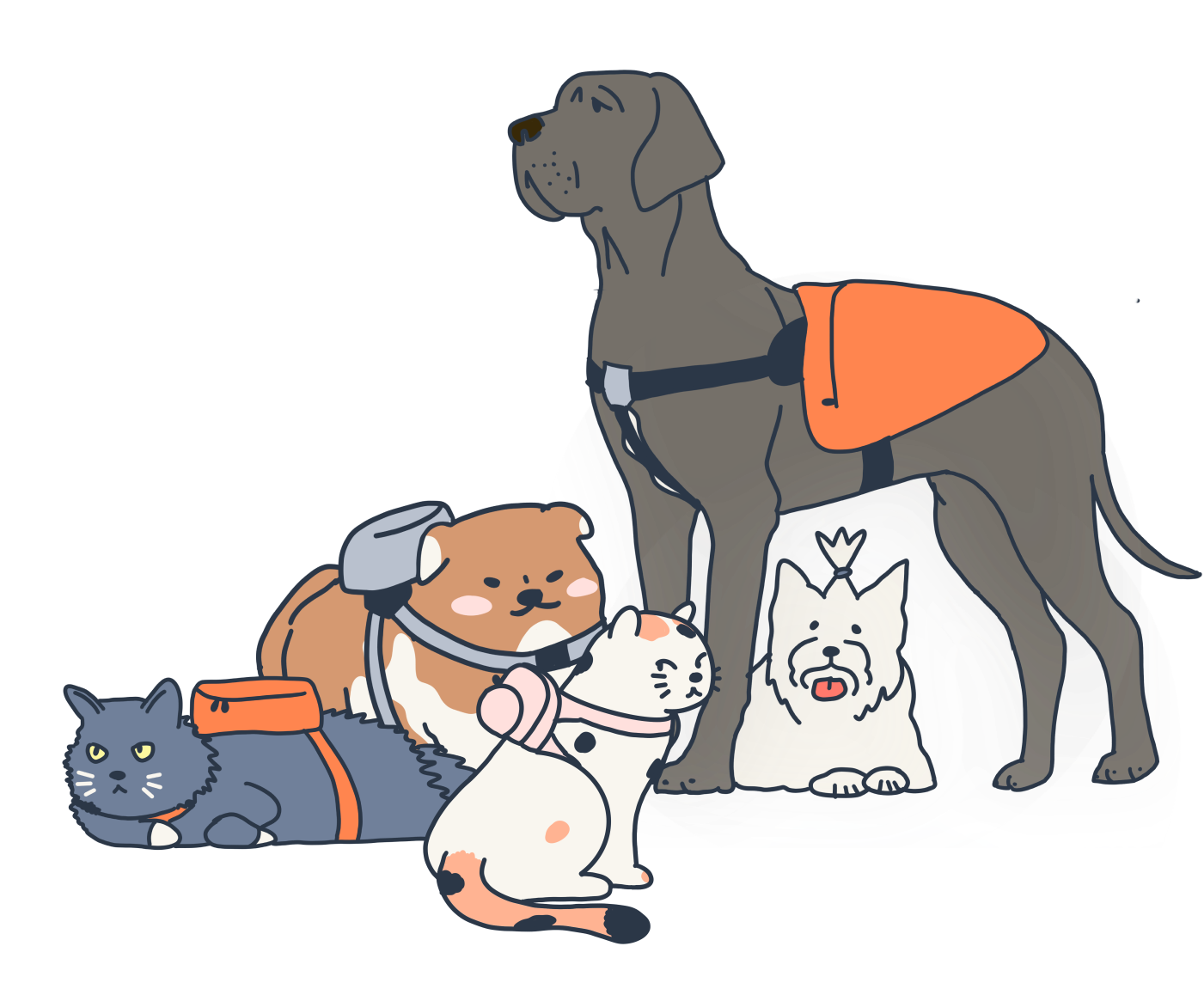 Lake Stevens Animal Hospital | Wellness & Urgent Care — BoosterPet ...