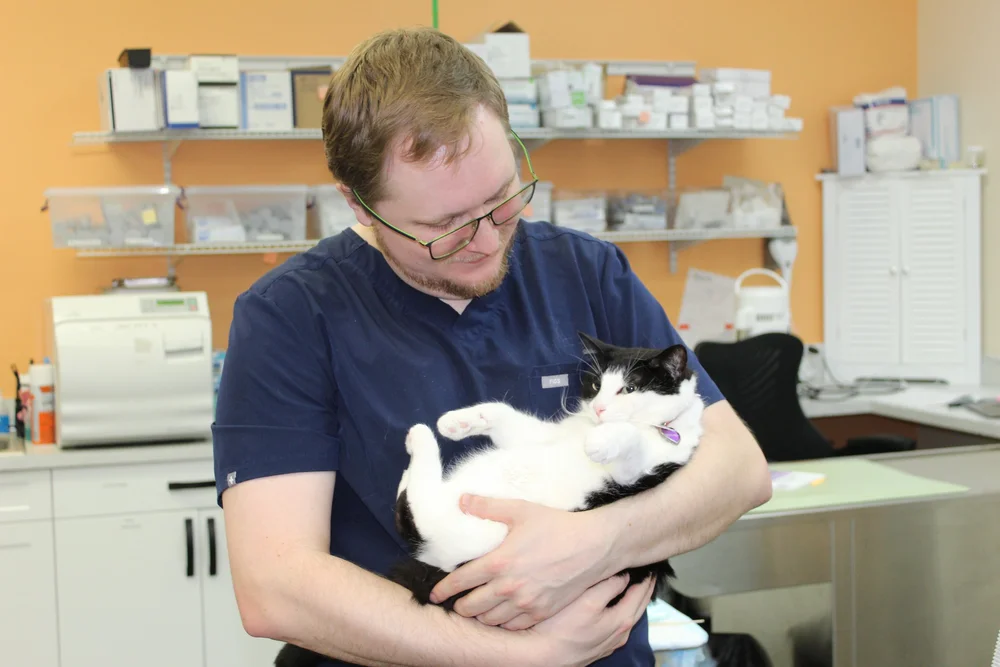 Vet Clinic in Gig Harbor | Minter Veterinary Hospital — BoosterPet ...