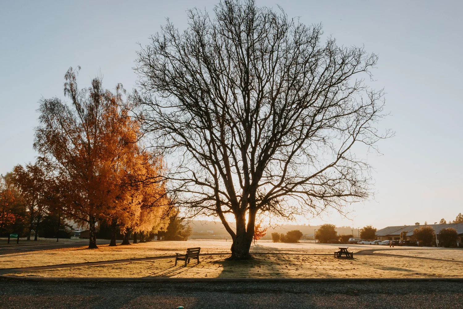About Us | Discover Quality Rural Care - Get Involved Now — Dunstan ...