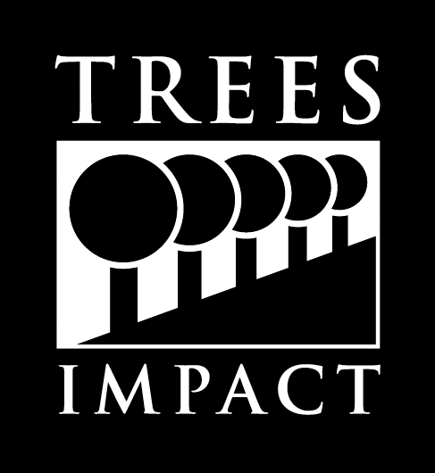 How to Assess Trees Using AS 2303:2018 Standard — TREES IMPACT