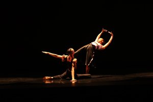 Dallas Black Dance Theatre @ ArtFest at the Moody — Dallas Black Dance ...