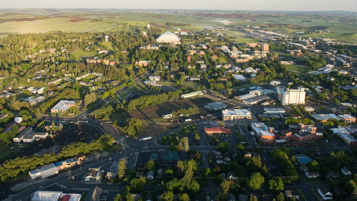Palouse Imaging Consultants