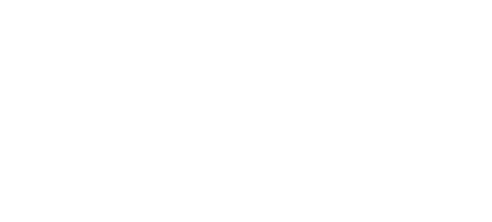 WITZER | Get Paid On Time, Every Time