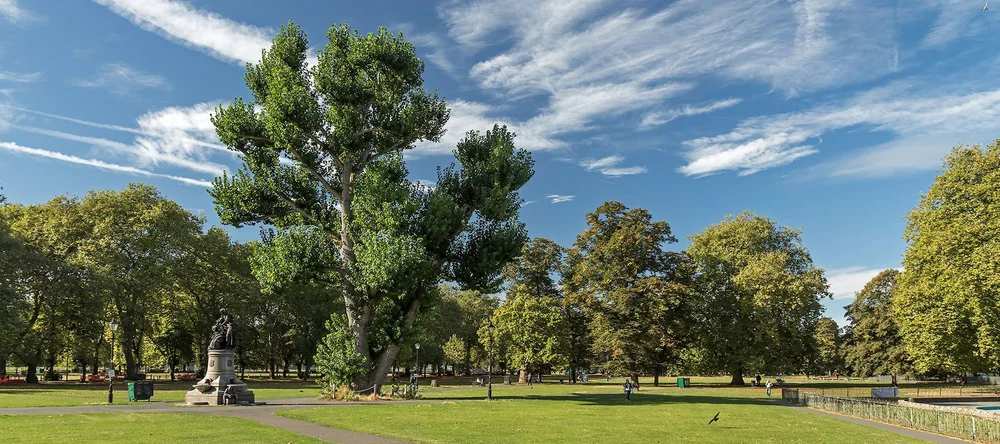 About Us | Support Green Spaces Today — Friends of Clapham Common