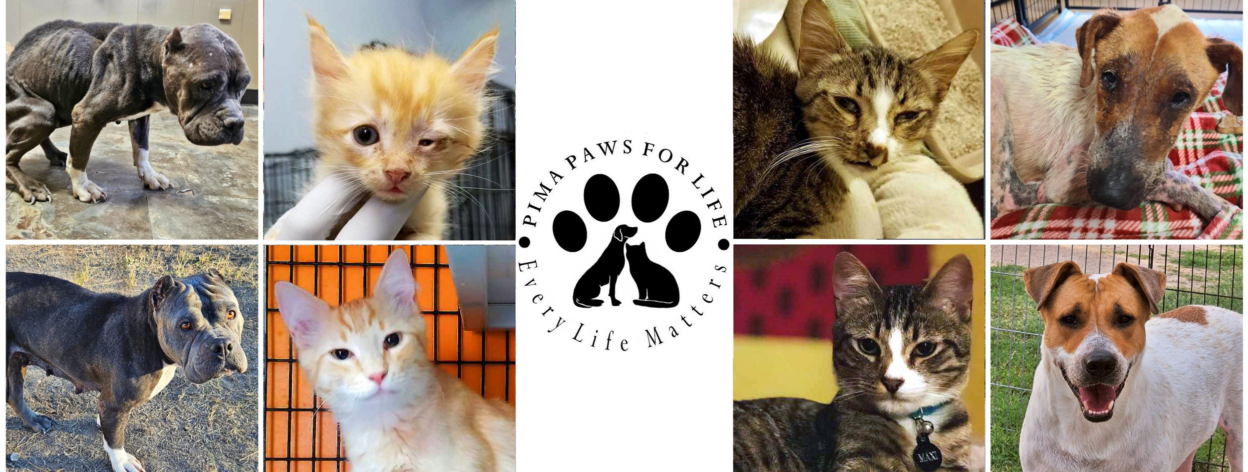 Pima Paws for Life
