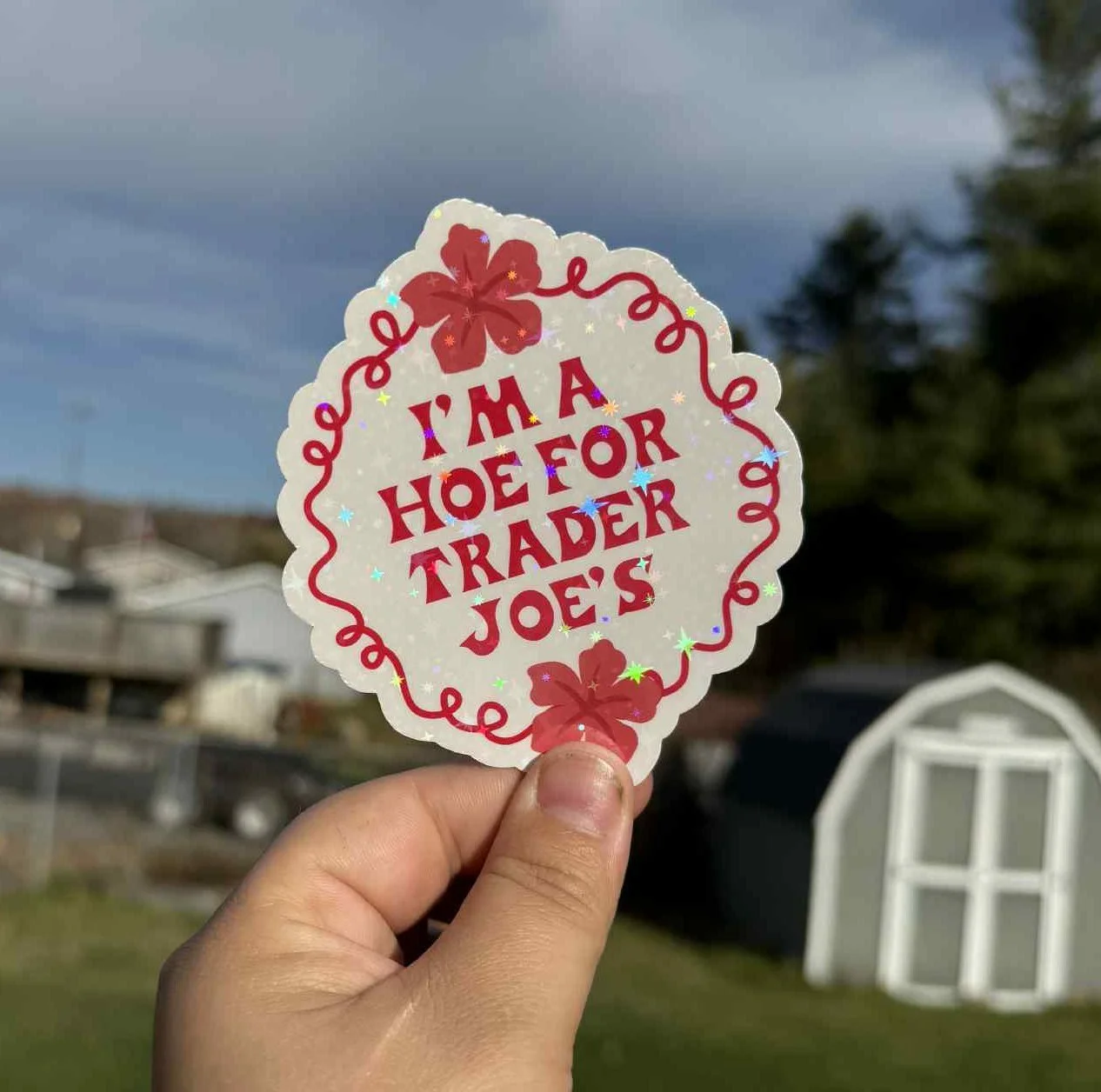 I’m a Hoe for Trader Joe’s — Ash Aesthetics Co.