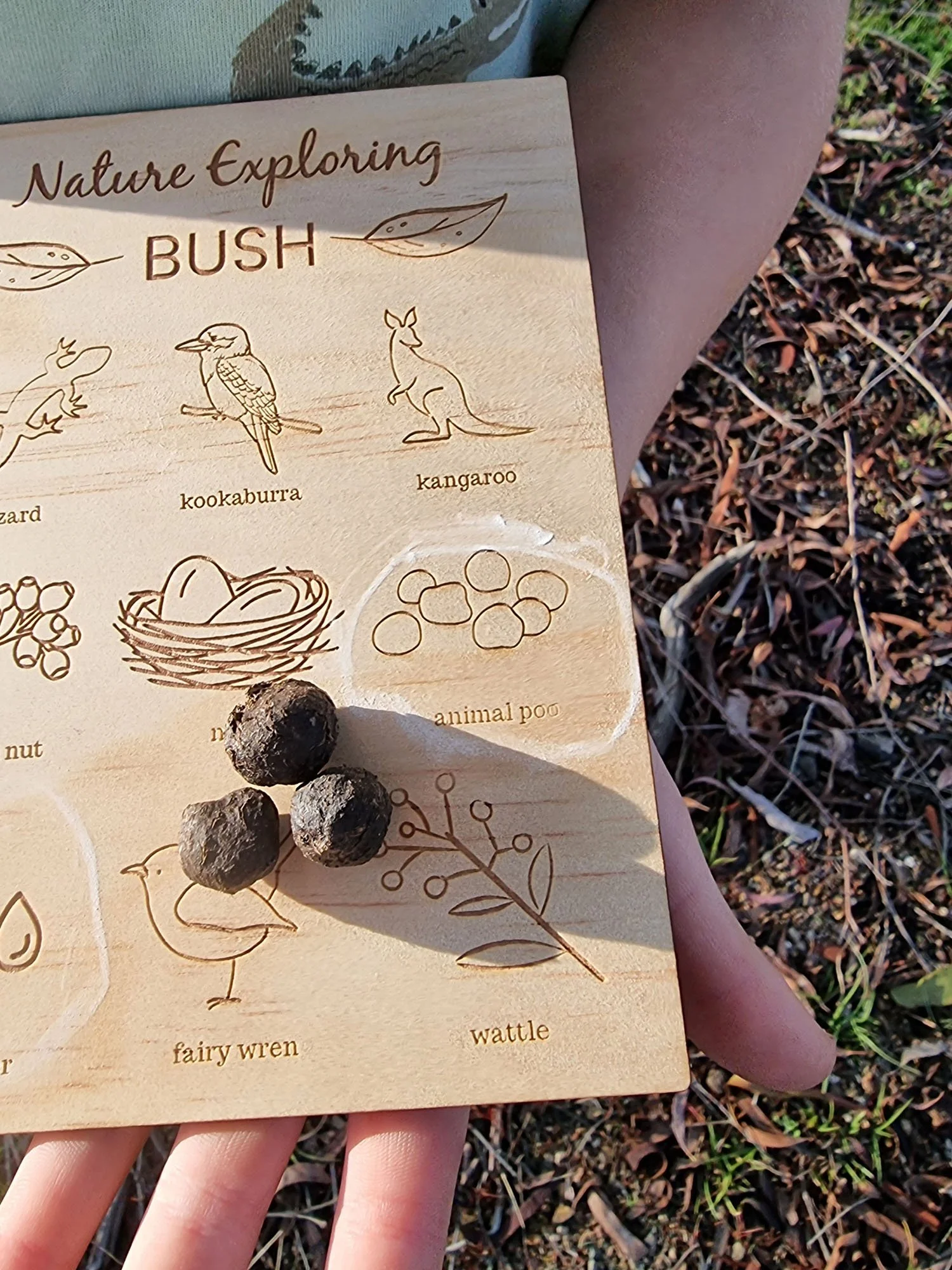 Nature Explorers timber nature designs for kids — erin.k - creative studio