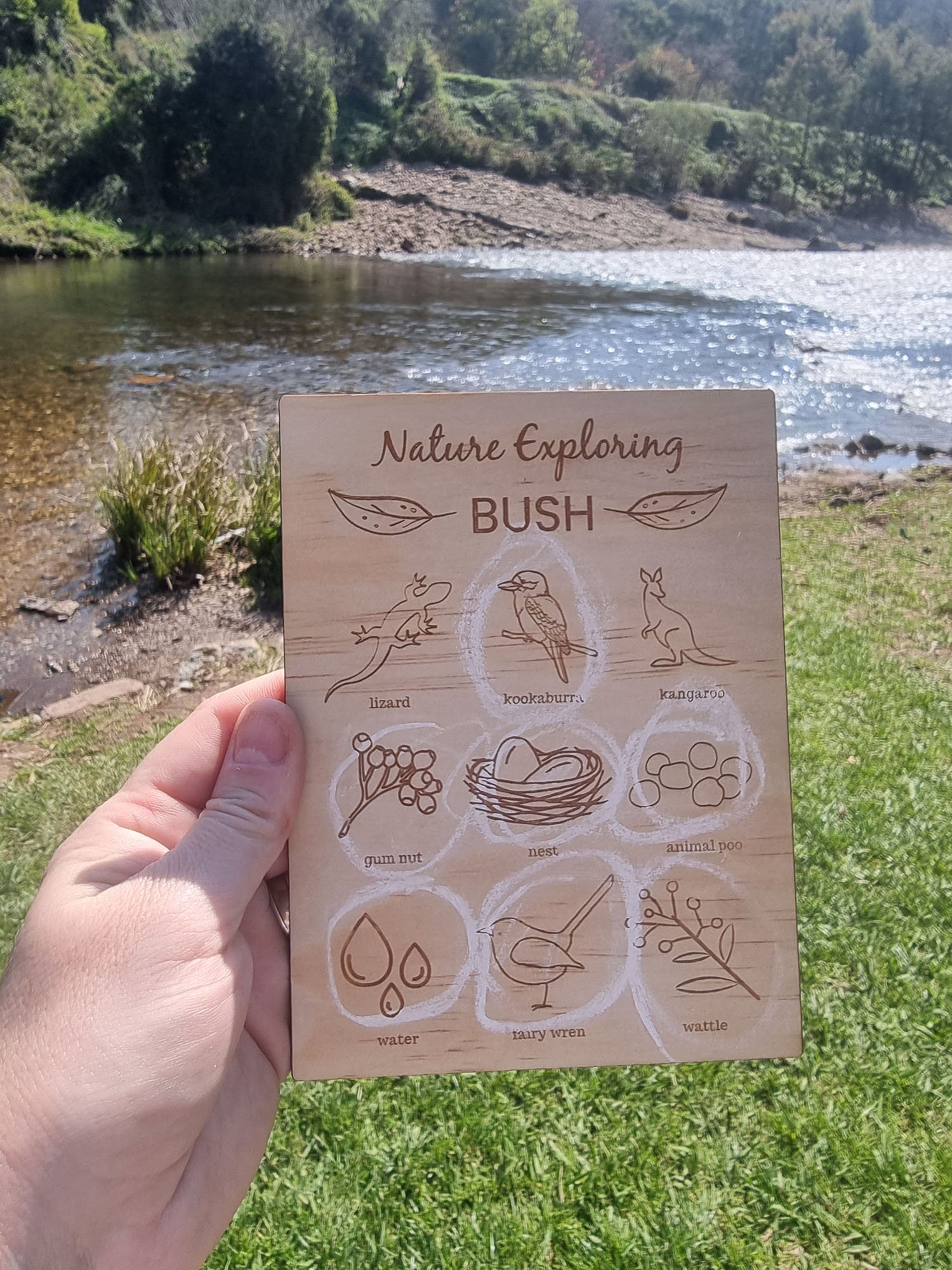Nature Explorers timber nature designs for kids — erin.k - creative studio
