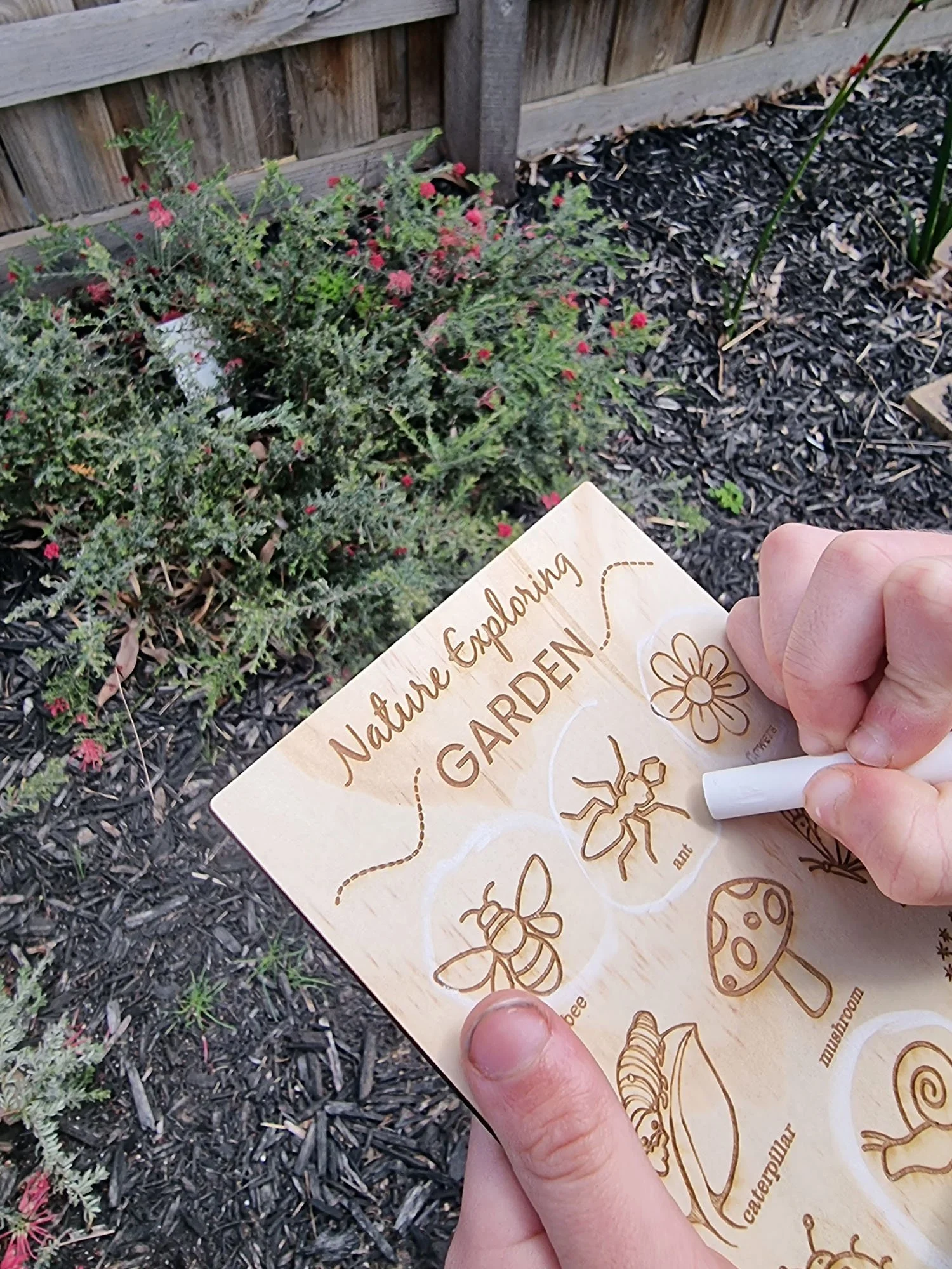 Nature Explorers timber nature designs for kids — erin.k - creative studio