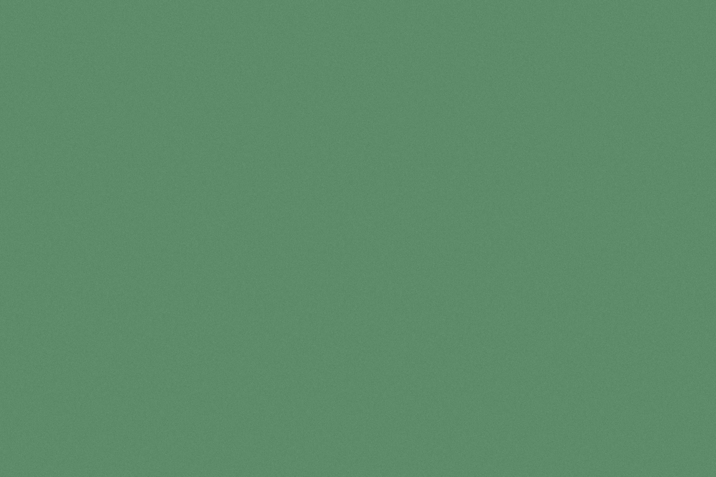 Tim Flaherty | About Tim