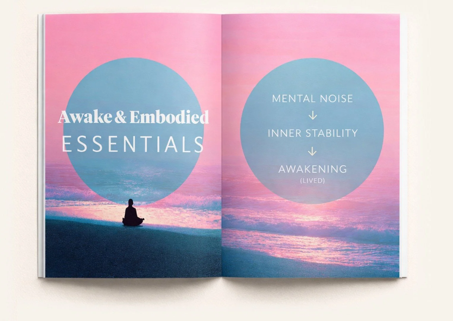 Awake & Embodied Essentials — Alex Shailer