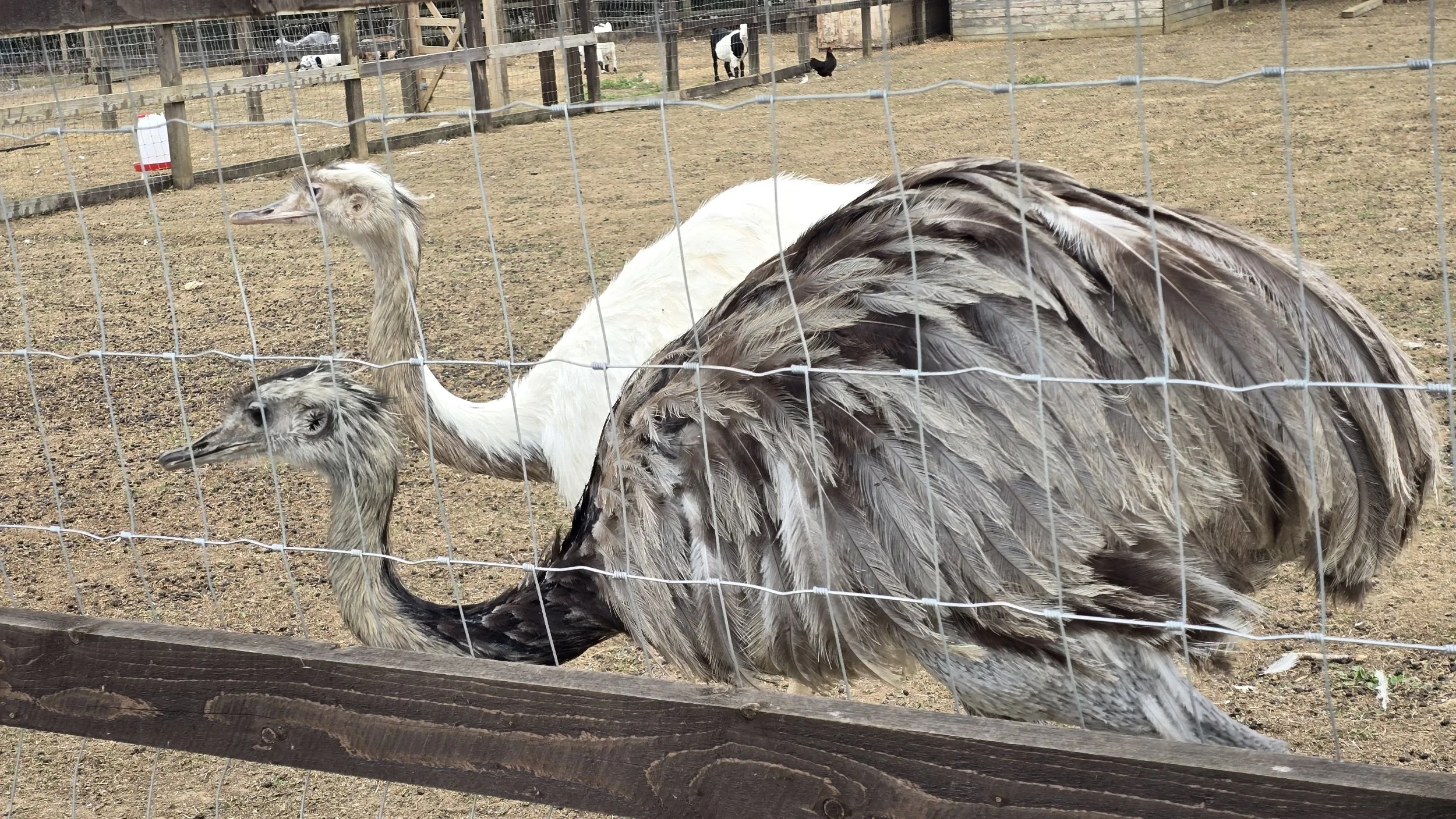 The Hub @Sparlings Farm - Felsted — Think You Know Essex? A View From ...