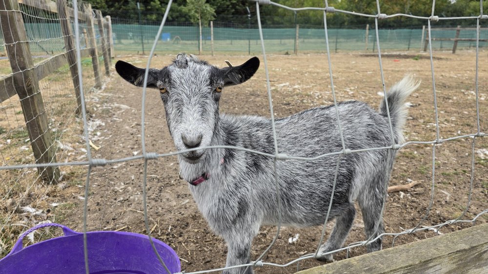 The Hub @Sparlings Farm - Felsted — Think You Know Essex? A View From ...
