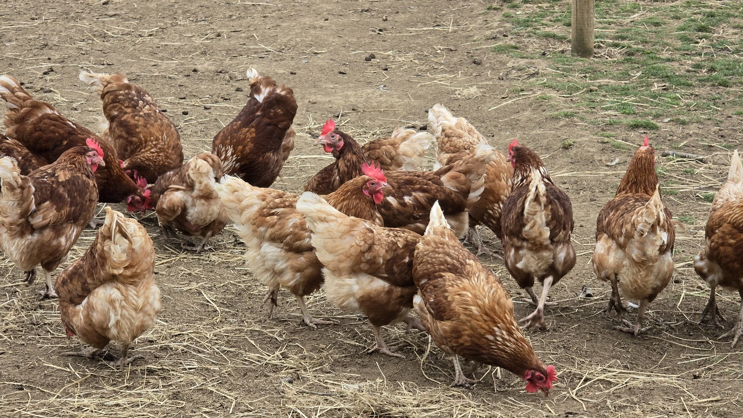 The Hub @Sparlings Farm - Felsted — Think You Know Essex? A View From ...