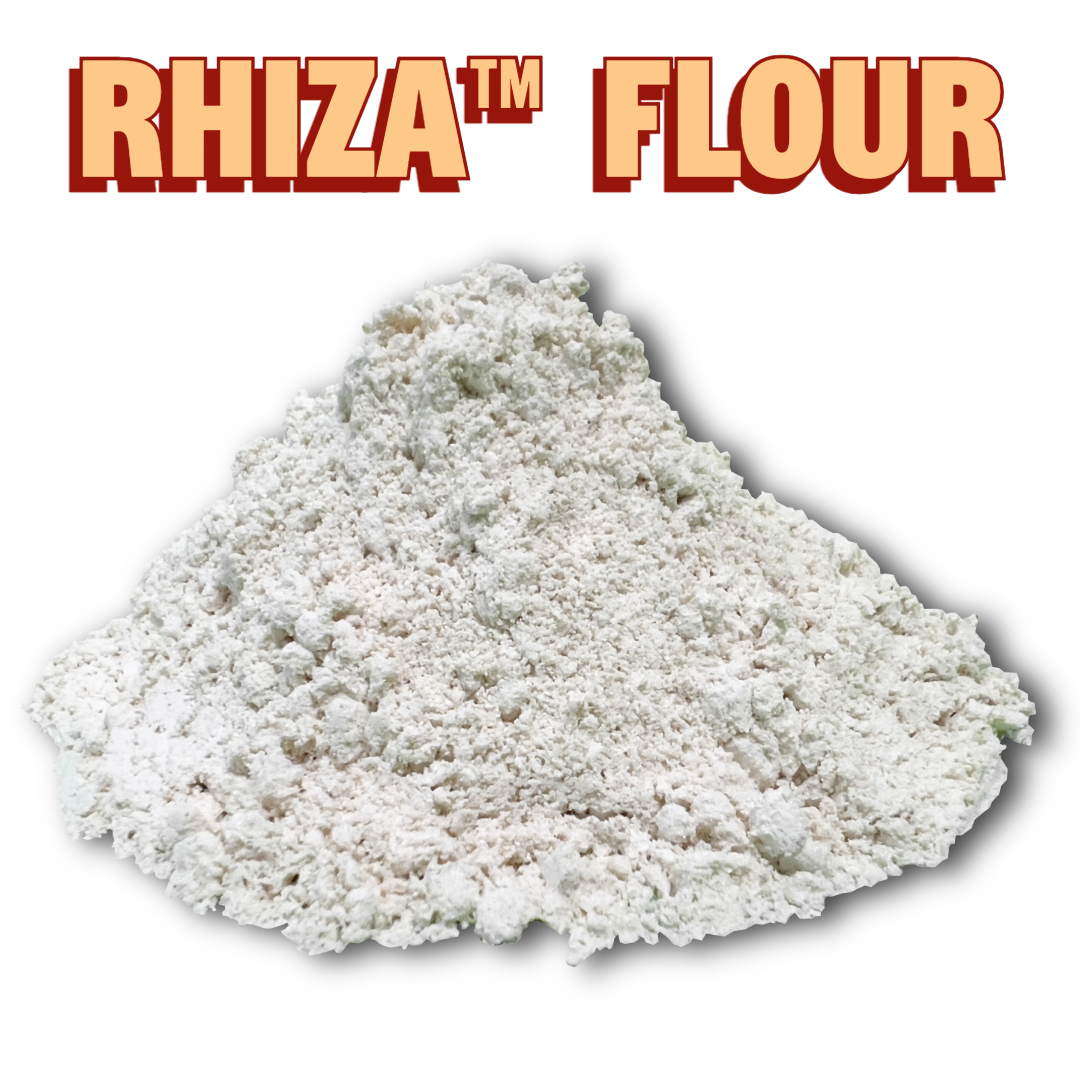Rhiza Flour: Baked Goods | Enhance Your Baking Today — The Better Meat Co.