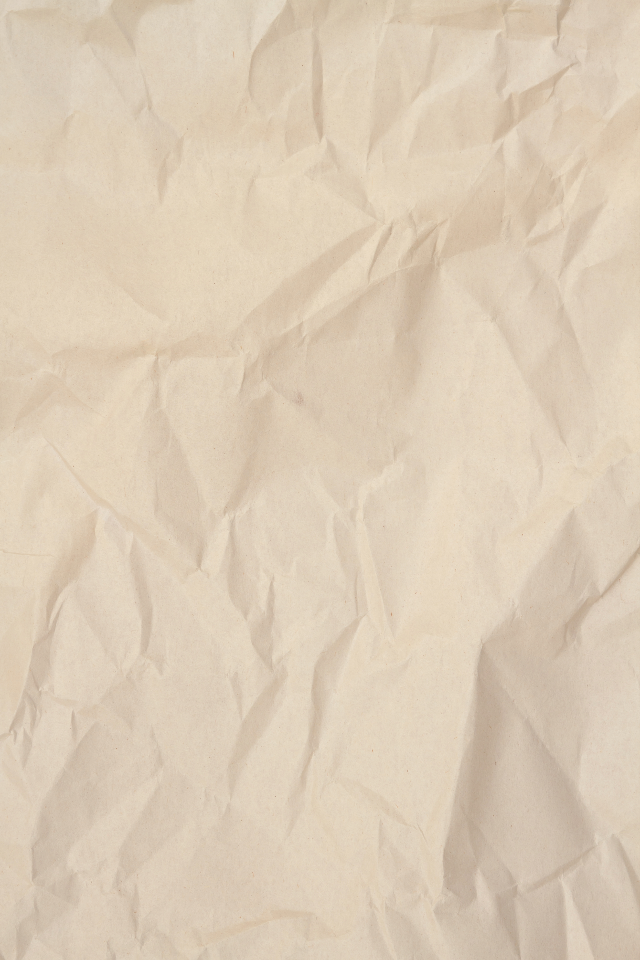 Rhiza Flour: Baked Goods | Enhance Your Baking Today — The Better Meat Co.