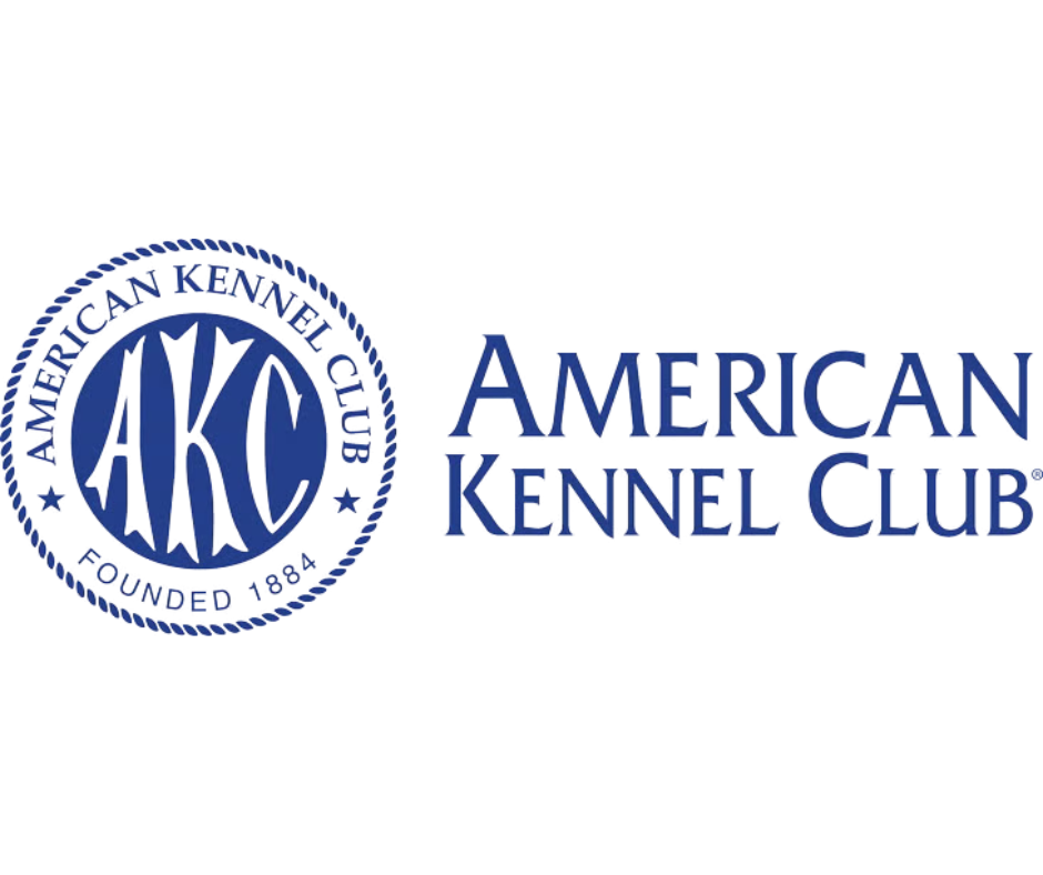 Brooks Labrador Retrievers