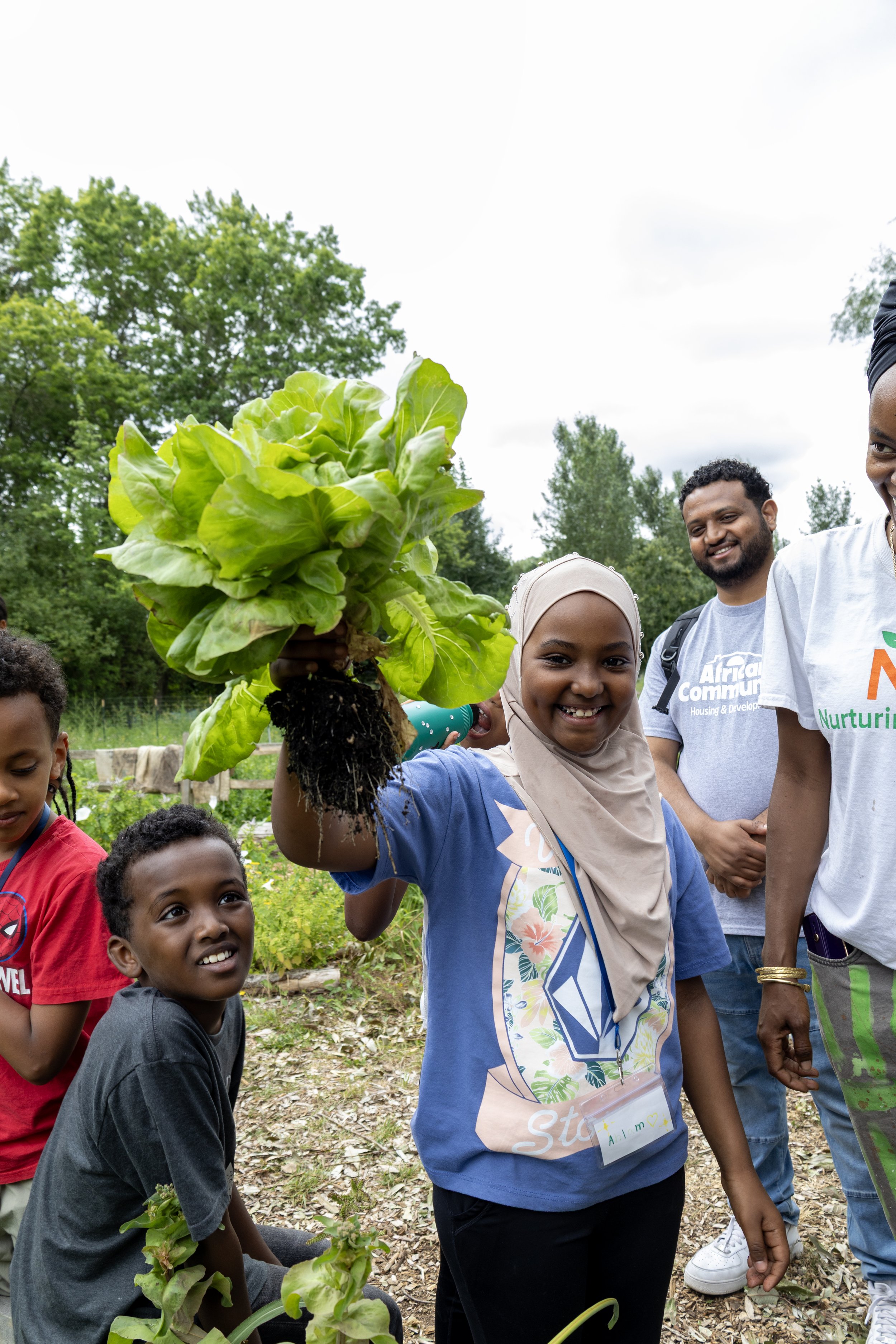 Education — African Community Housing & Development
