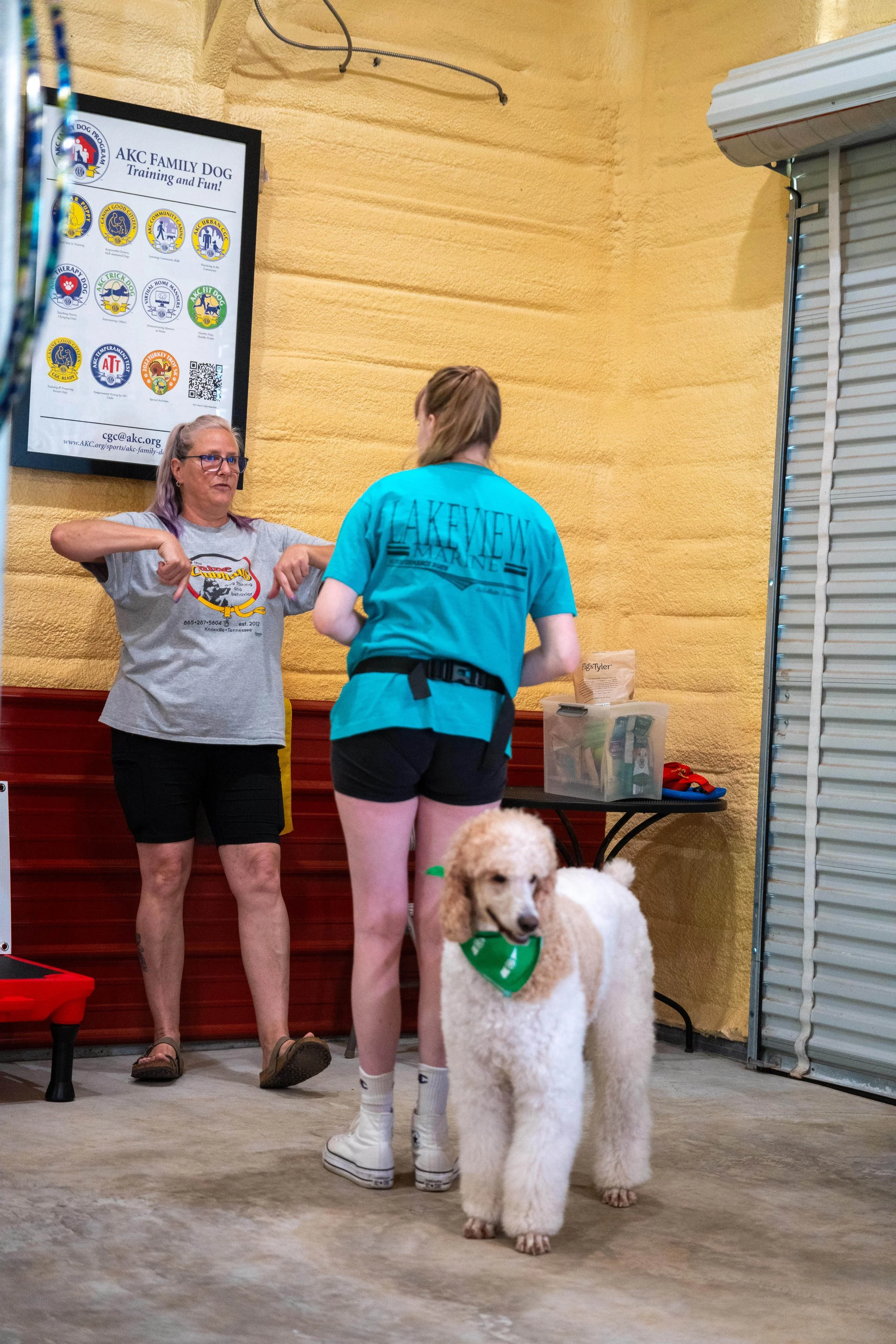 The Canine Clubhaus LLC
