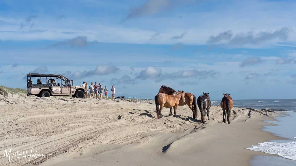 See the Corolla wild horses on a guided Humvee tour — HI Travel Tales