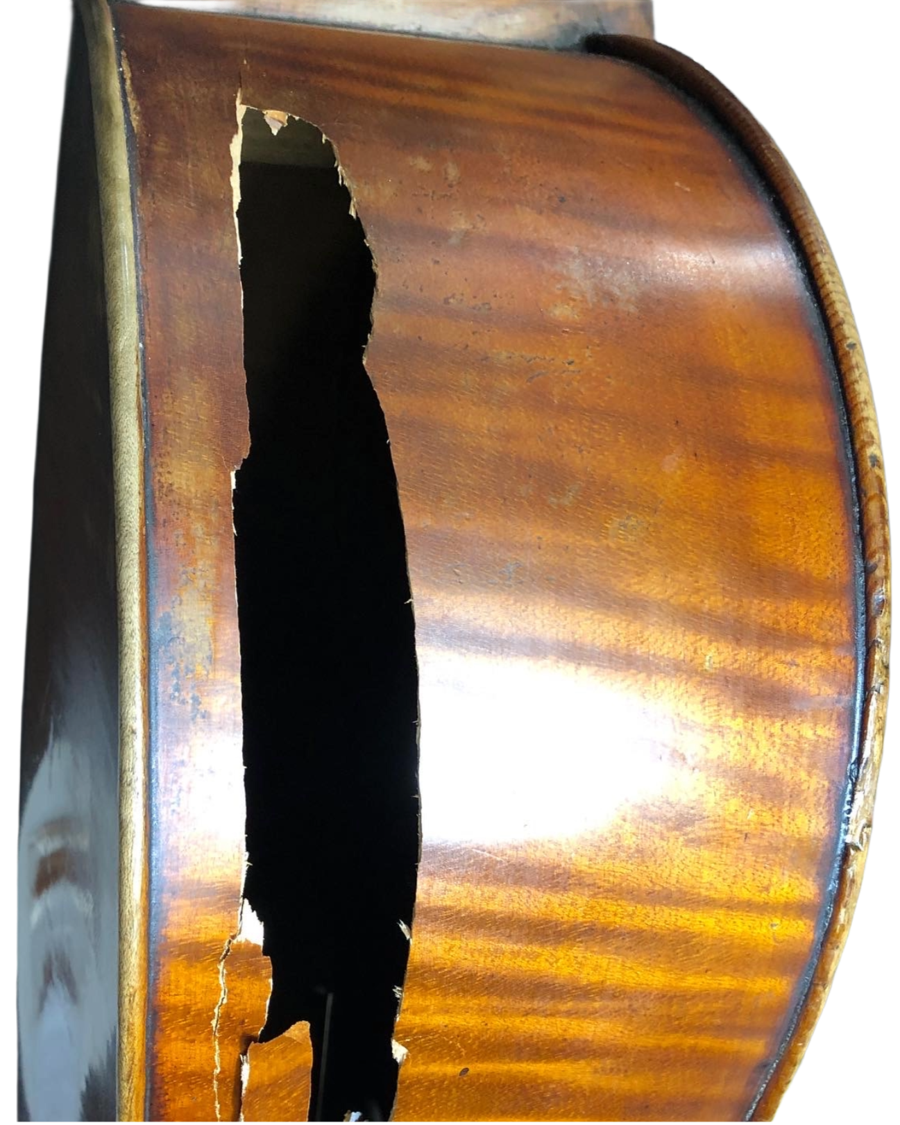 Store 2 — Robert Cauer Violins