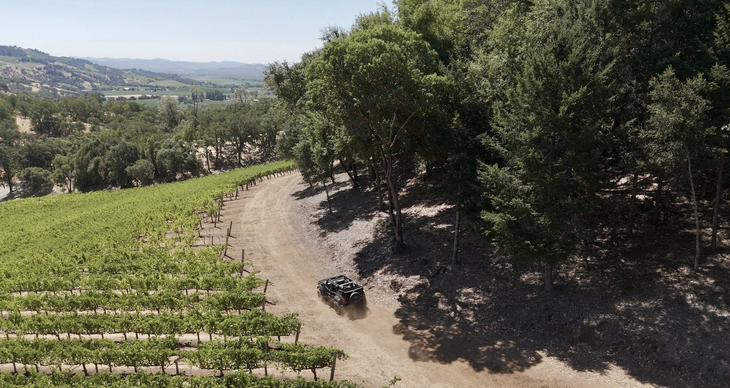 Valette Wines