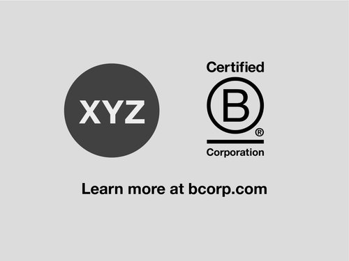 Visual Identity — B Corp Brand Book