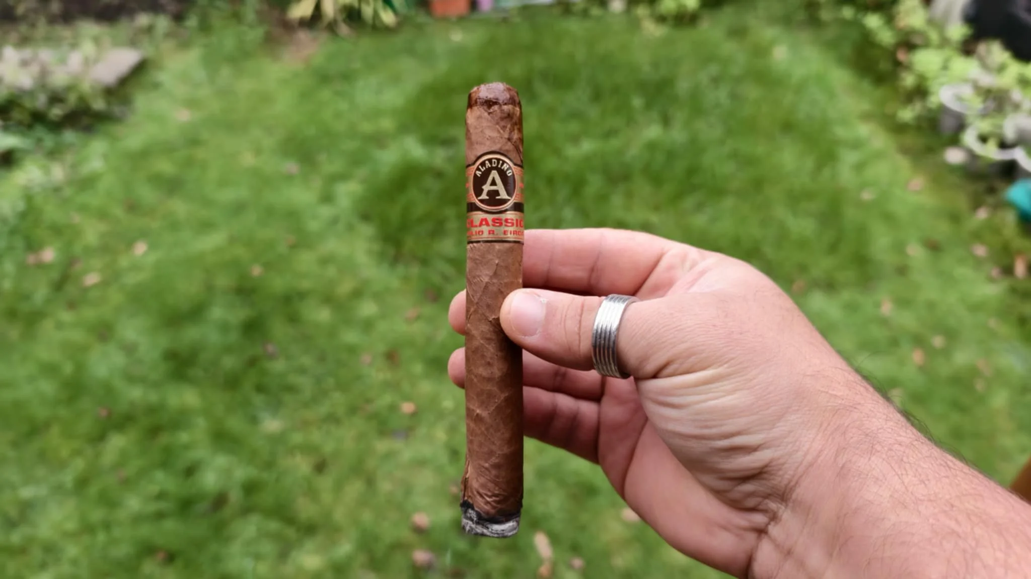Aladino Classic Toro — The Late Smoke