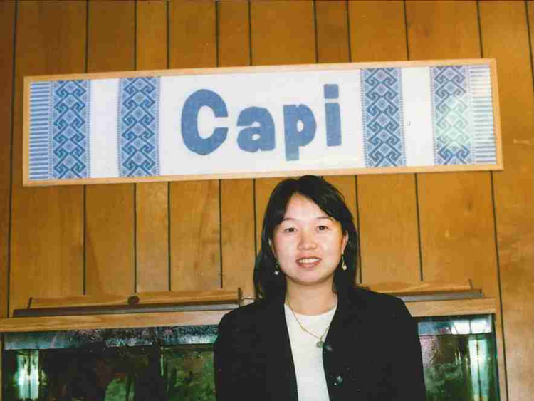 About CAPI — CAPI: Communities Advancing Prosperity for Immigrants