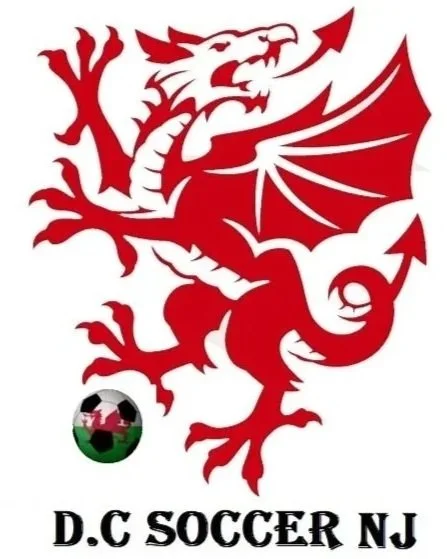 DC Soccer NJ | Join Soccer Excellence Today